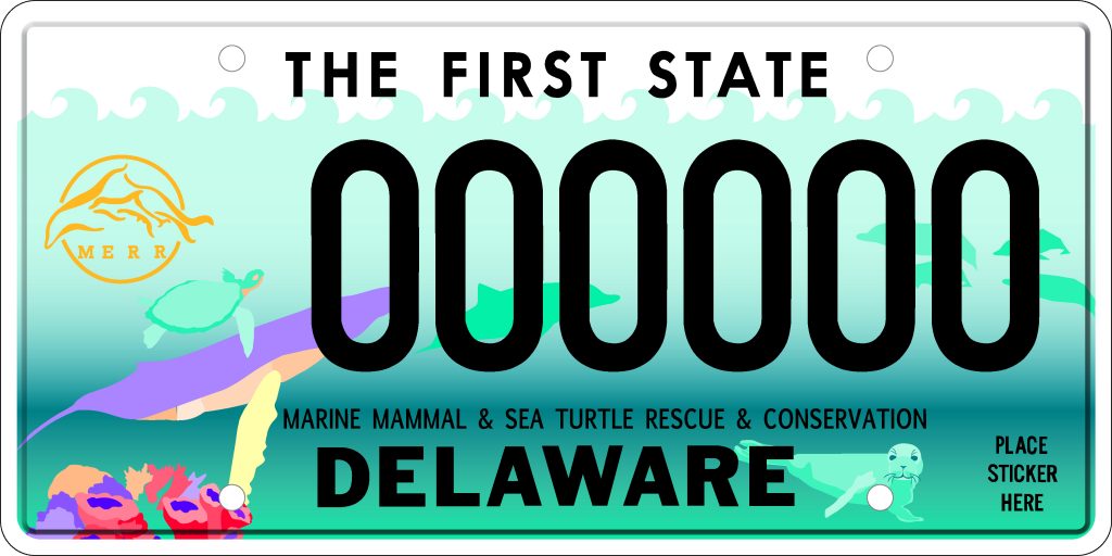 Licence Plate Manufacturing - Waldale Manufacturing Limited